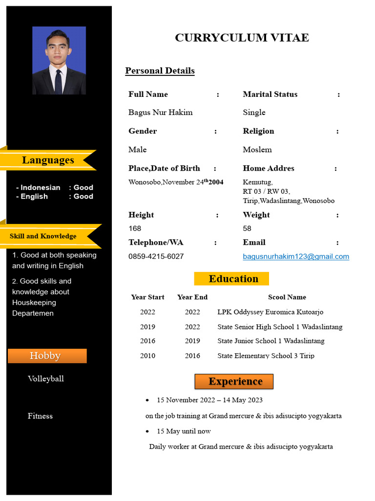 CV Bagus Nur Hakim | PDF