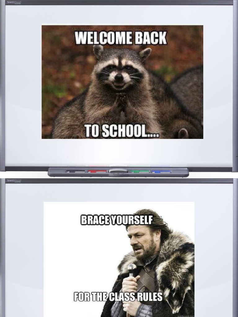 Classroom Rules Memes | PDF
