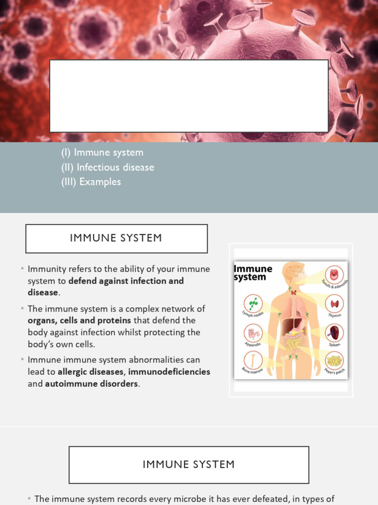 Cell-Mediated vs. Antibody Responses | PDF | Immune System | Adaptive ...