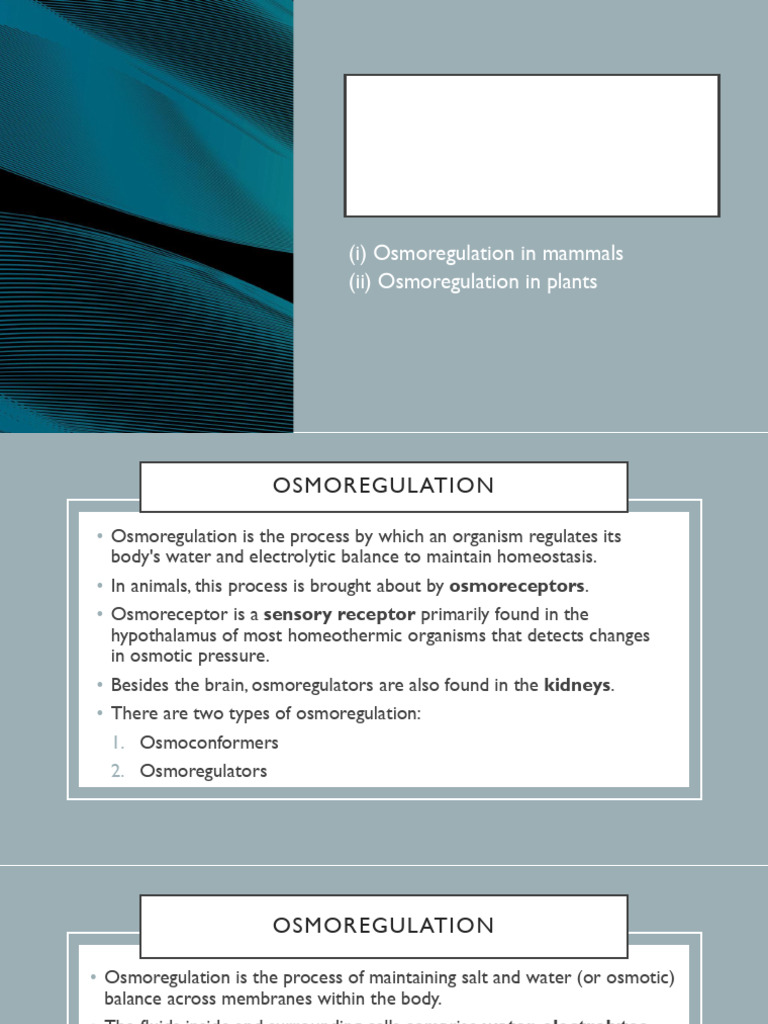Osmoregulation in Mammals and Plants | PDF | Kidney | Electrolyte