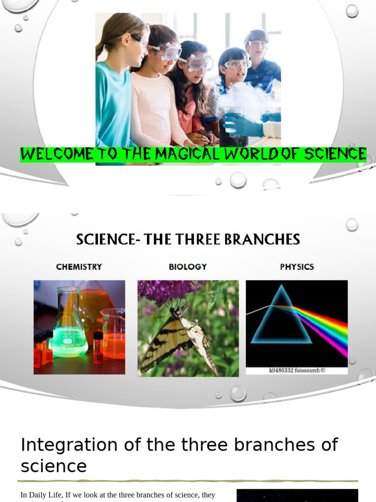 Science and Its Branches | PDF | Shadow | Science