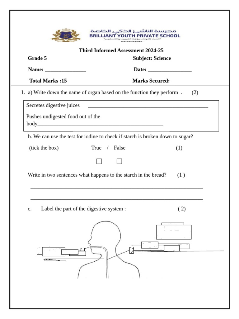 Grade 5 Science Assessment 2024-25 | PDF | Foods | Nutrition