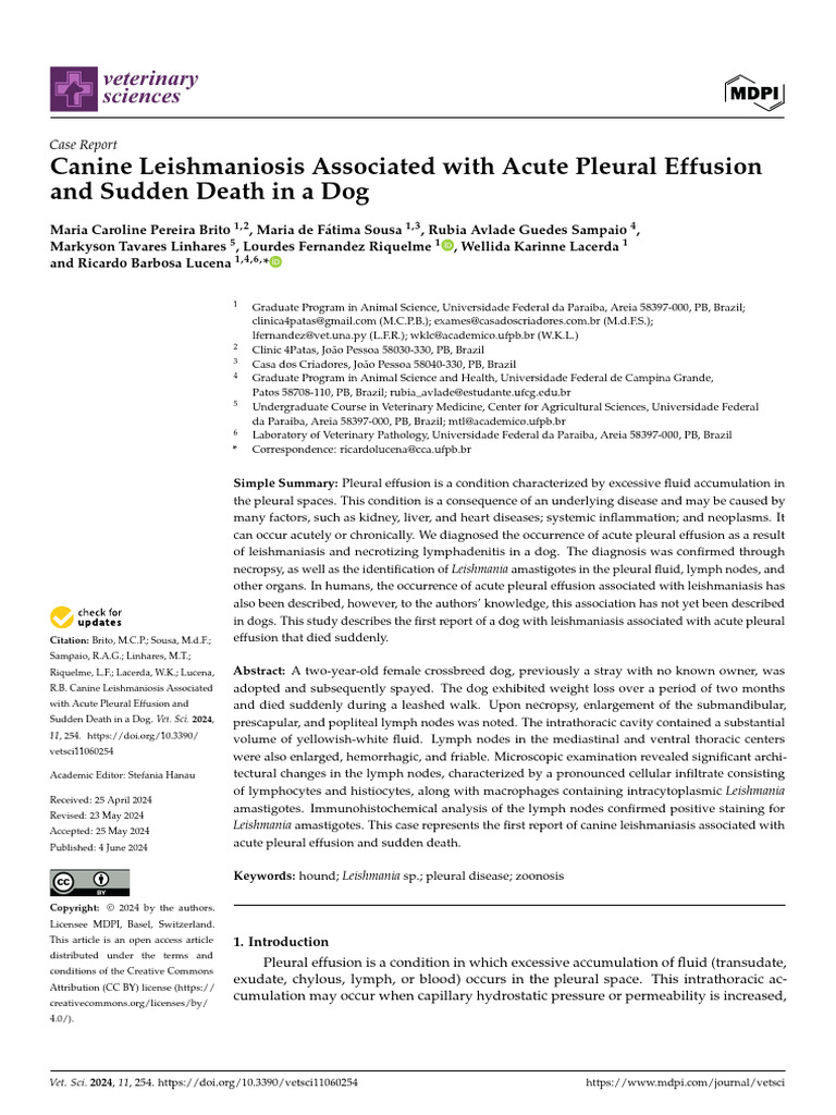 Canine Leishmaniosis Associated With Acute Pleural Effusion and Sudden ...