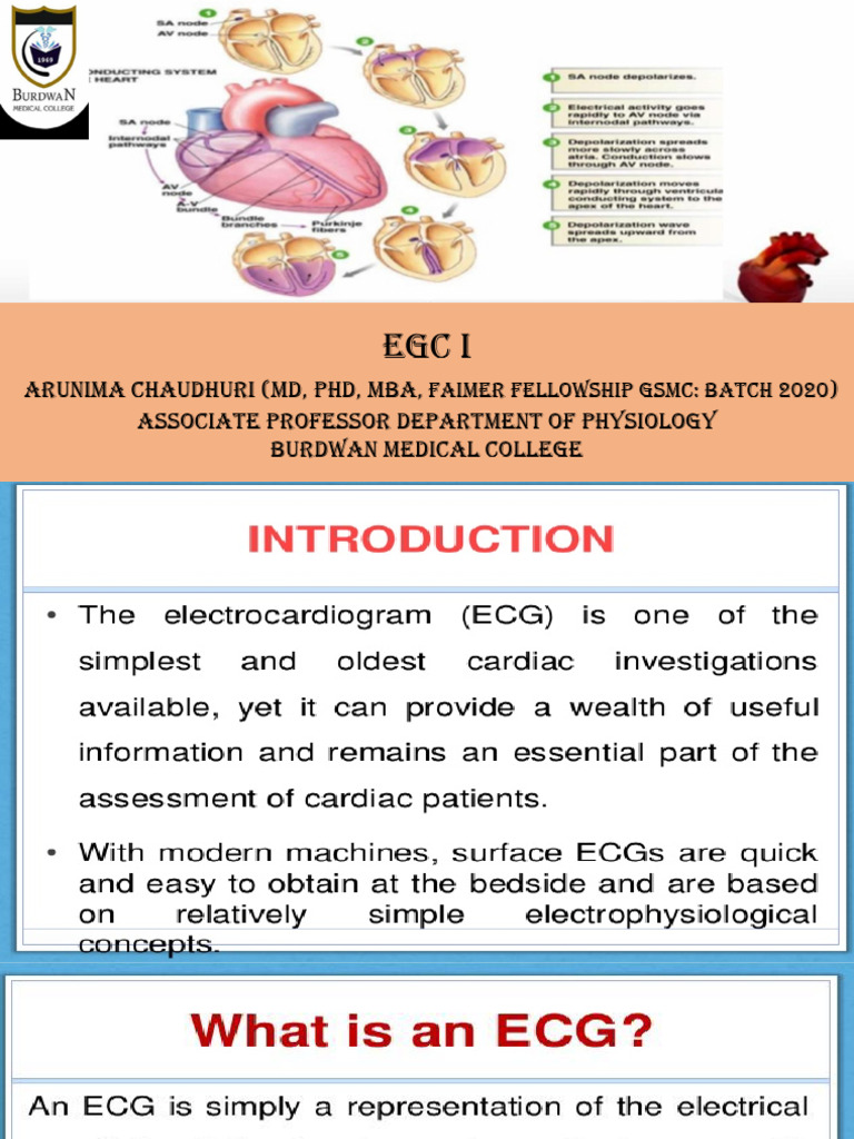 Ecg 1 | PDF