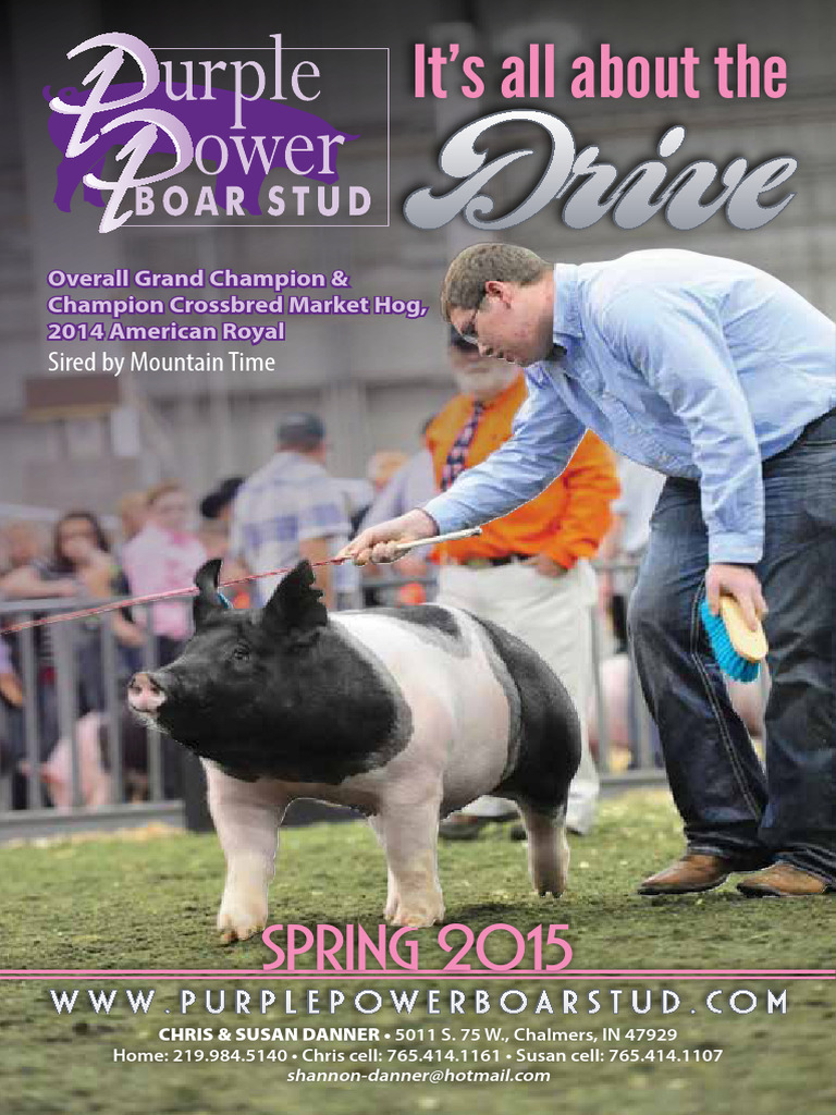 Purple_Power_Spring_Catalog | PDF