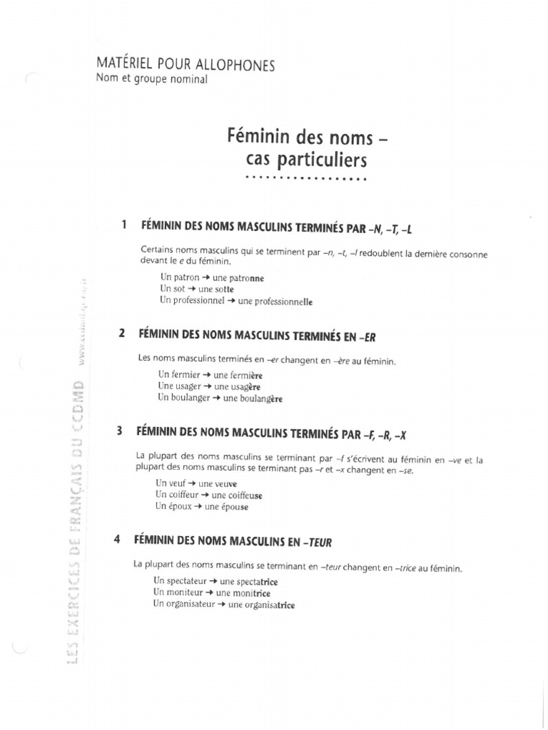 Feminin Des Noms Cas Particuliers | PDF