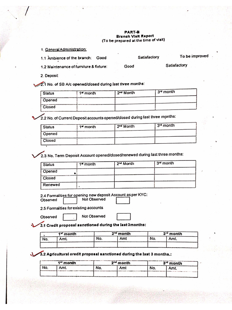 Branch Visit Report | PDF