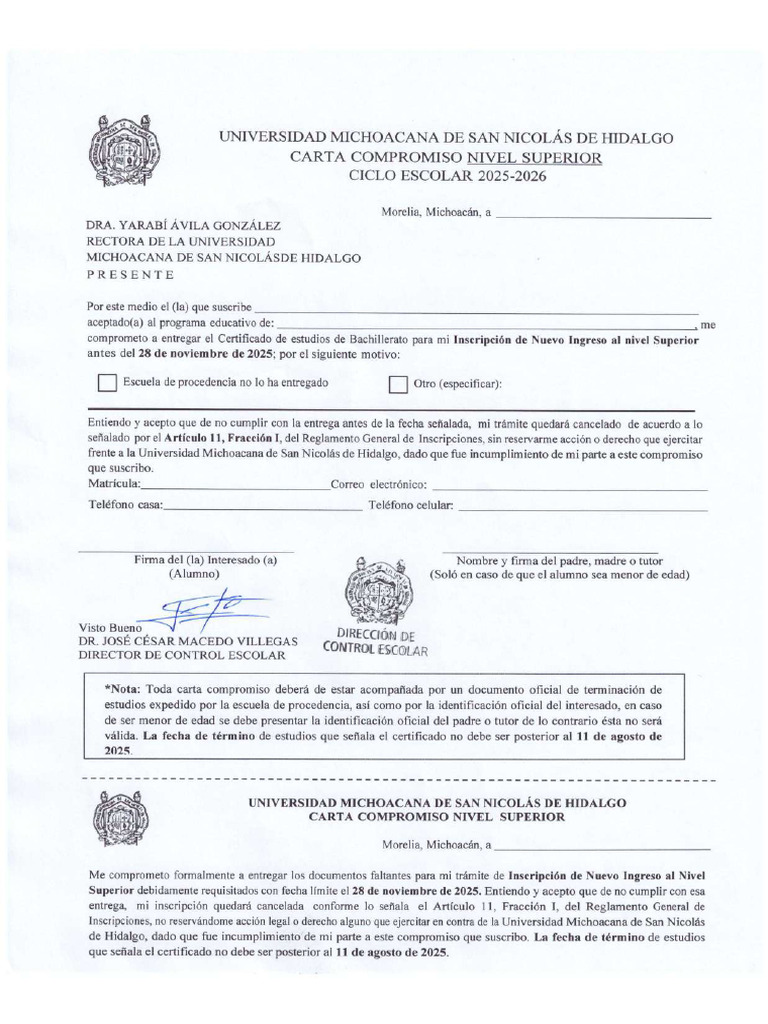 Carta Comp Nvo Ing 2025 Sup | PDF