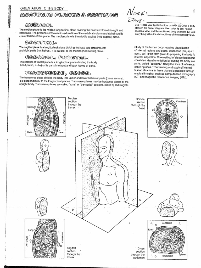 Planes Sections CC | PDF