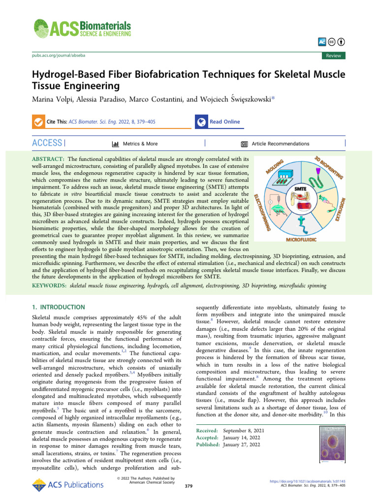 Hydrogel-Based Fiber Biofabrication Techniques For | PDF | Skeletal ...