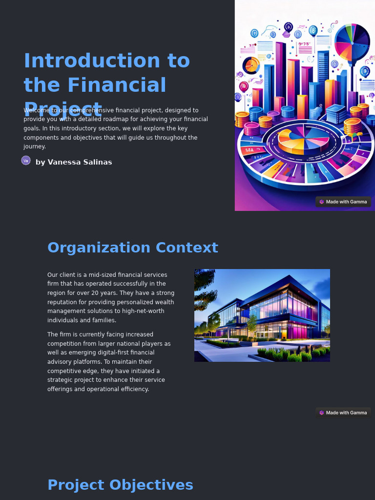 Financial Project Overview and Strategy | PDF | Risk | Risk Management