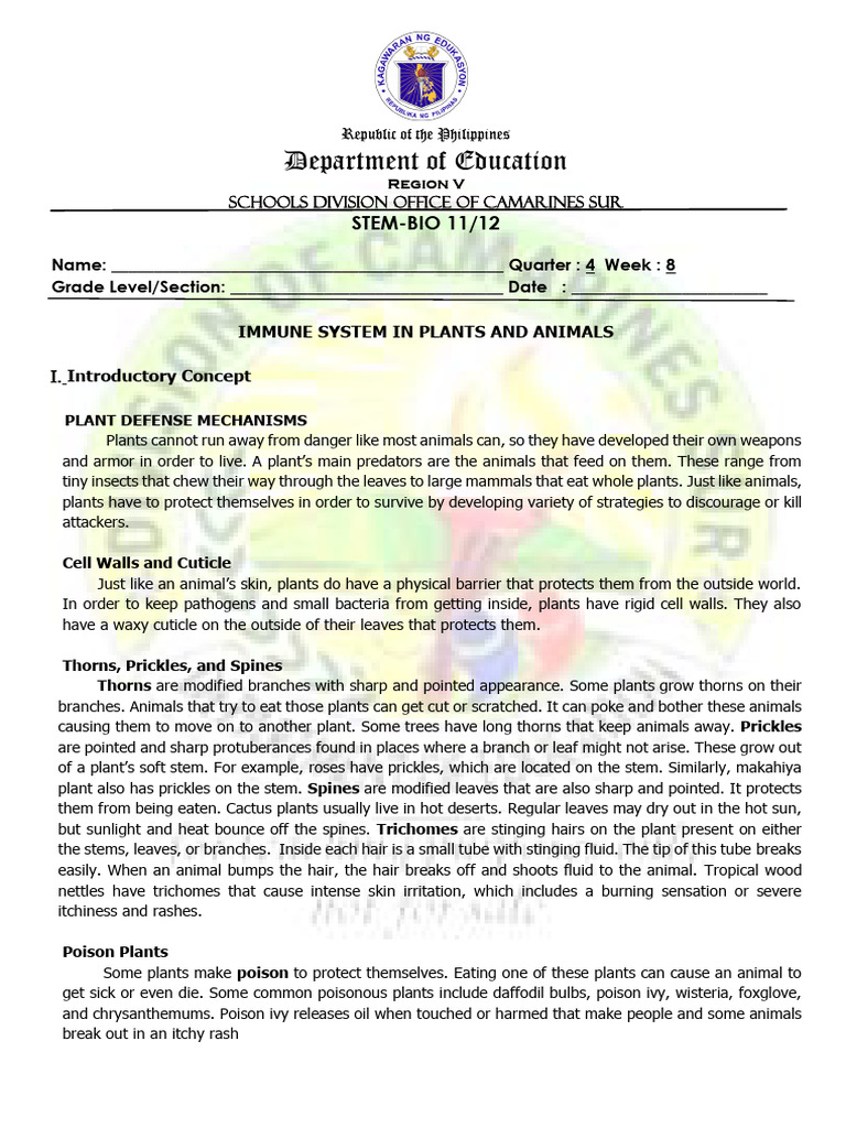 Immune System - Animal and Plant Systems | PDF | White Blood Cell ...