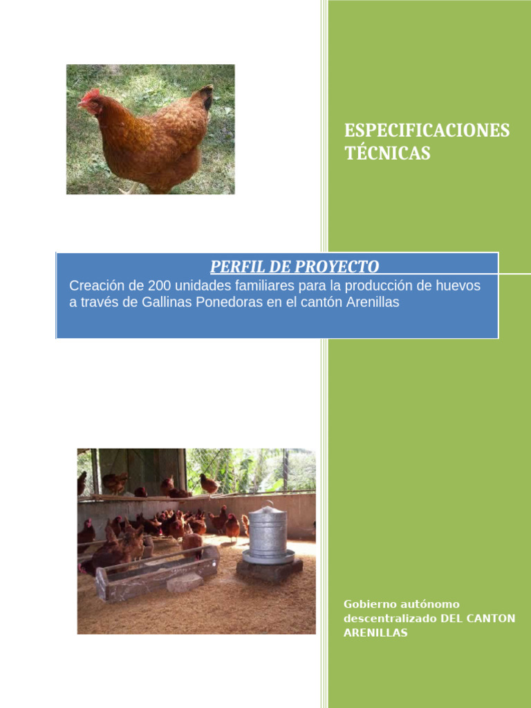 PROYECTO PRODUCTIVO DE AVES PONEDORAS (SANTIAGO) | PDF | Aves | Pollo