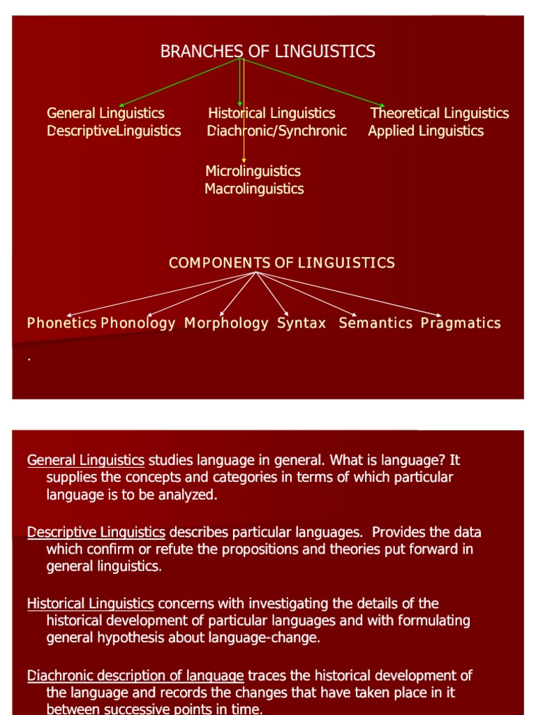 Branches of Linguistics | PDF
