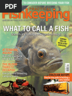 AqAdvisor - Intelligent Freshwater Tropical Fish Aquarium Stocking ...