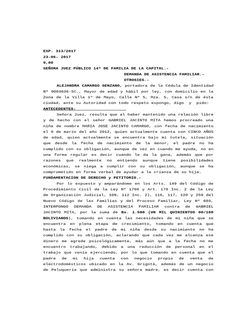 Alejandra Camargo Senzano Brod | PDF | Demanda judicial | Justicia