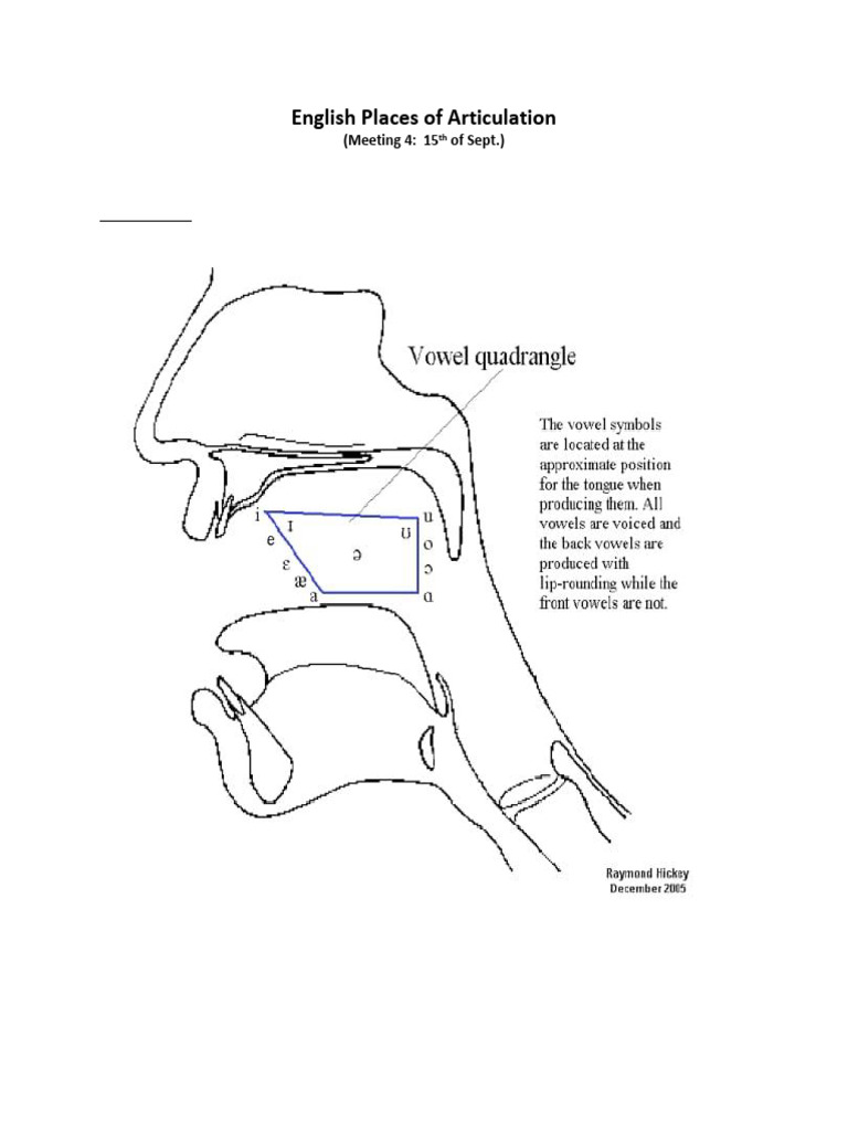 Phono Meet 4 Place of Articul | PDF | Phonetics | Human Voice