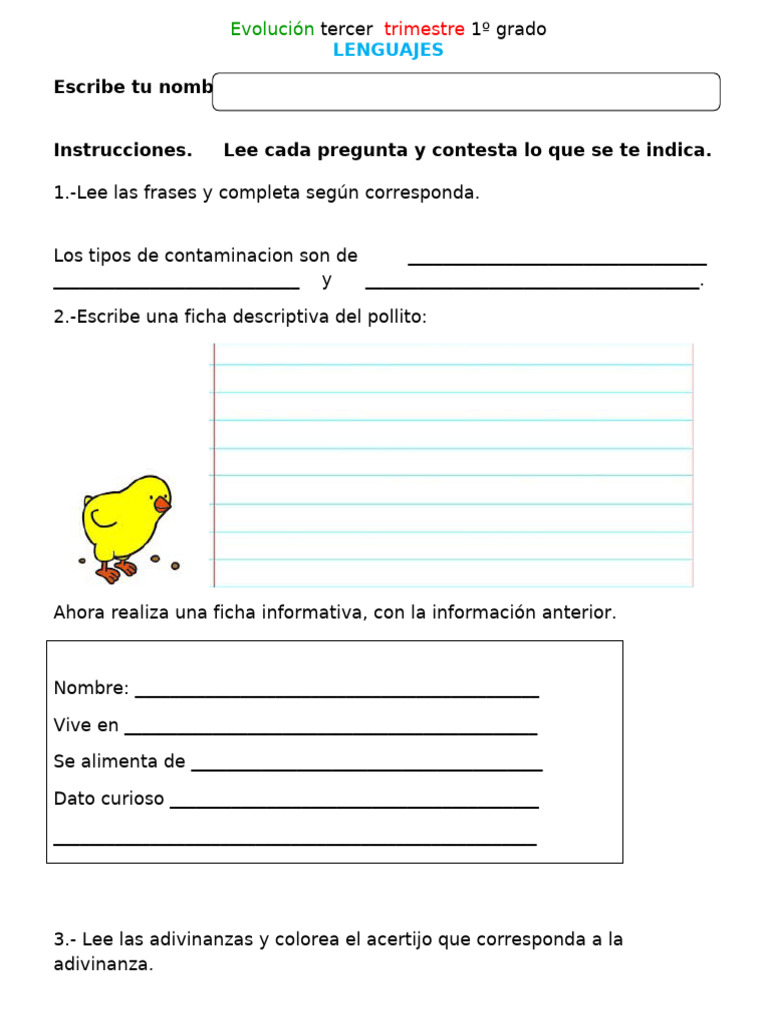 EVAL. 1er. Gdo, 3 TRIMESTRAL | PDF