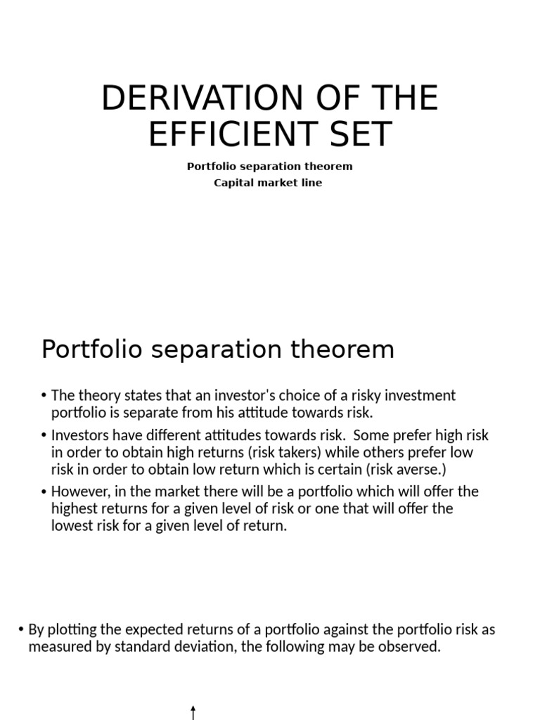 THE EFFICIENT SET and CAPITAL MARKET LINE | PDF | Risk | Capital Market