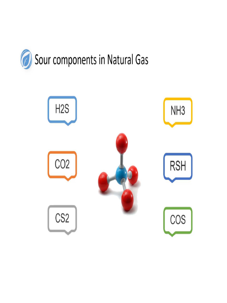 Gas Sweetening in Natural Gas Processing | PDF | Amine | Carbon Dioxide