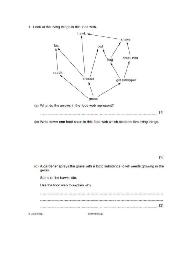 Y6 SC 0097 Checkpoint Paper 1 April 2024 | PDF