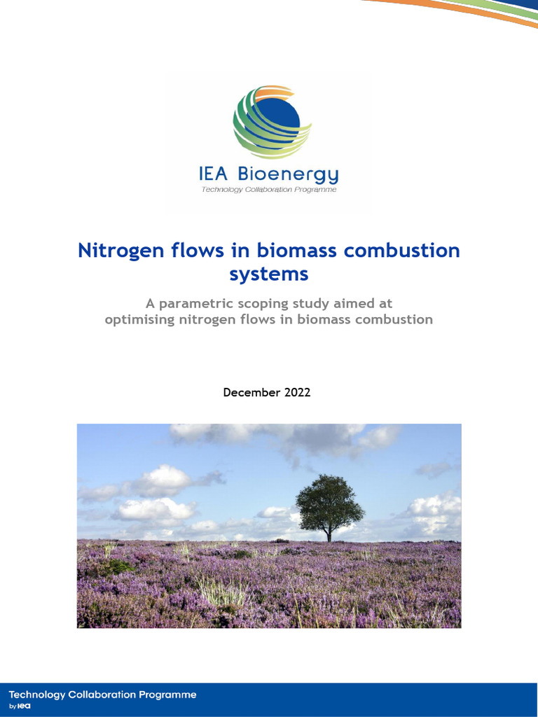 Nitrogen Flows in Biomass Combustion Systems Task32 - Nitrogencycle - I ...