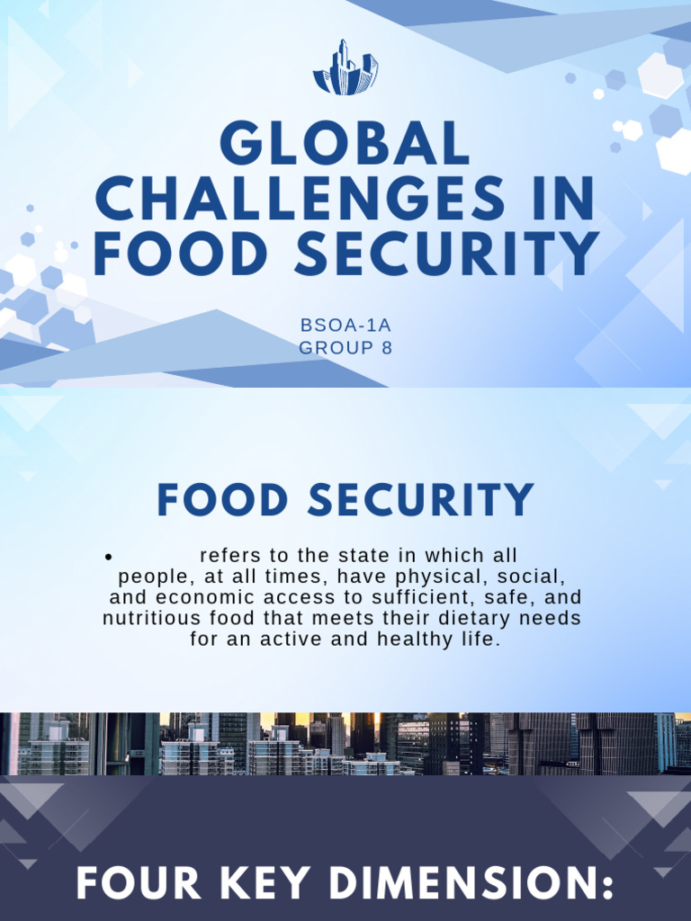 Global Food Security Challenges Explained | PDF | Food Security ...