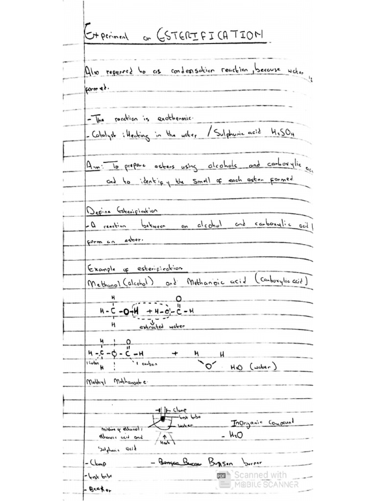 Esterification Experiment | PDF