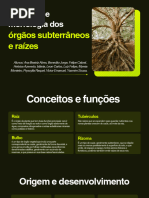 Raízes Adventícias: Exemplos e Funções | PDF | Raiz | Morfologia vegetal