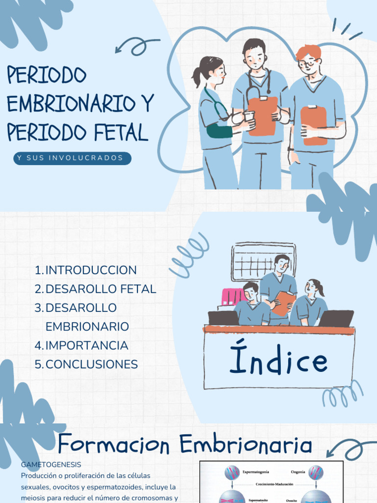 Periodo Embrionario y Periodo Fetal PDF | PDF | Embrión | Ovario