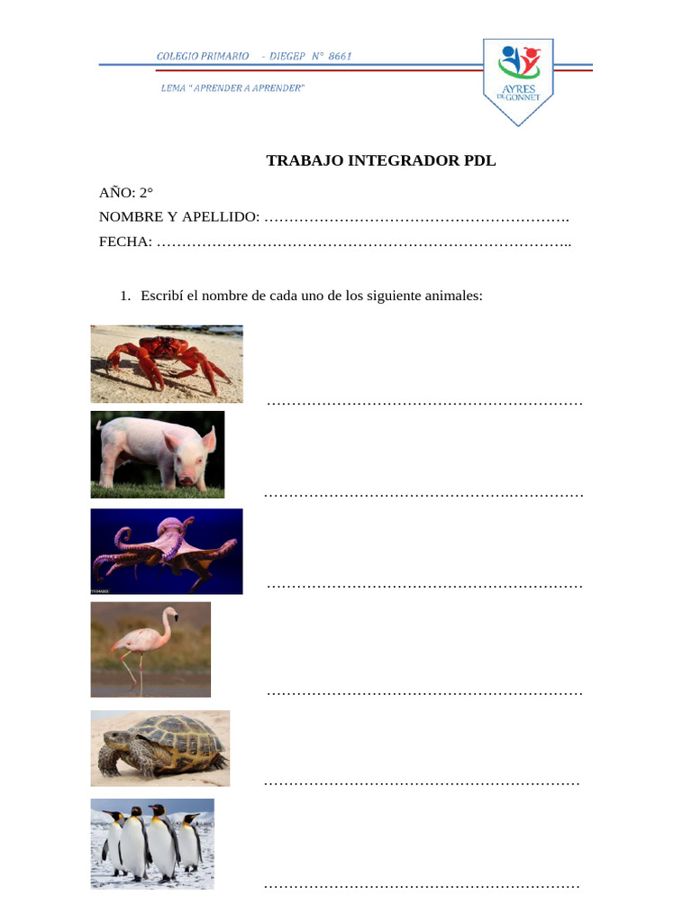 TP Integrador PDL | PDF