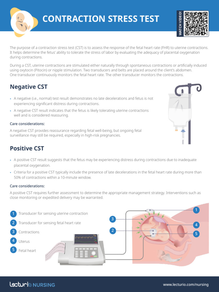 Nursing CS Contraction Stress Test 01 | PDF | Fetus | Women's Health