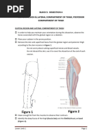 Palpation Techniques for Lower Extremities | PDF | Foot | Knee