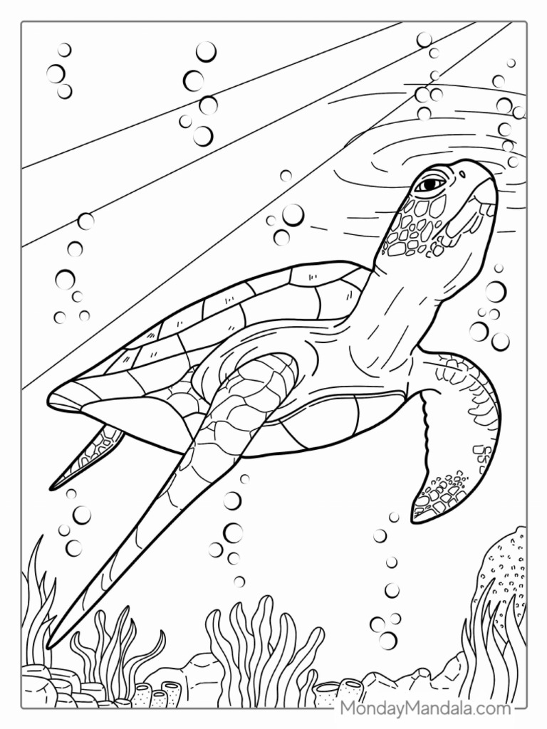 Sea Turtle Poking Head Through Water | PDF