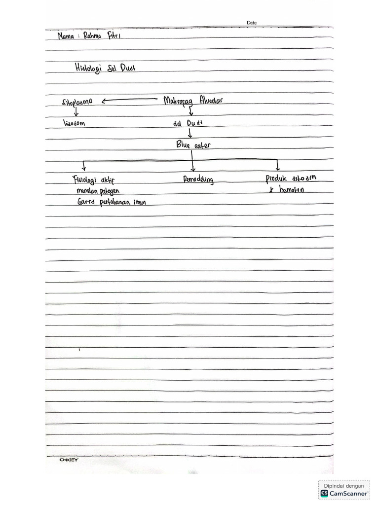 24-055_Rahma Fitri | PDF