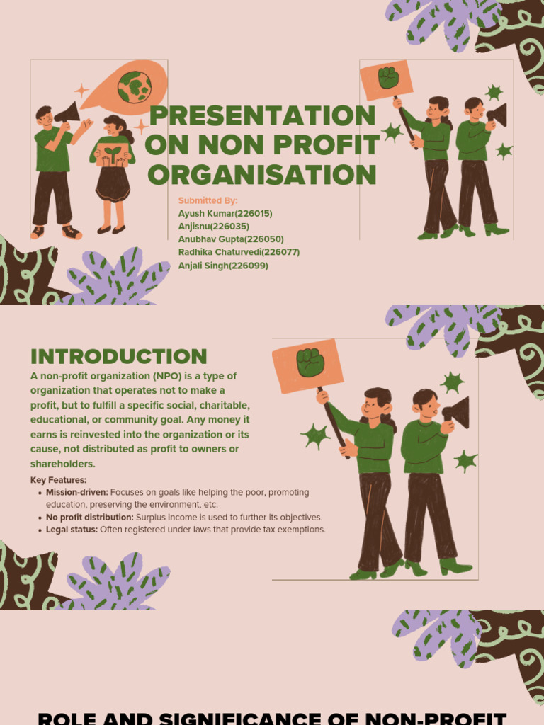 Role and Impact of Non-Profit Organizations | PDF | Nonprofit ...