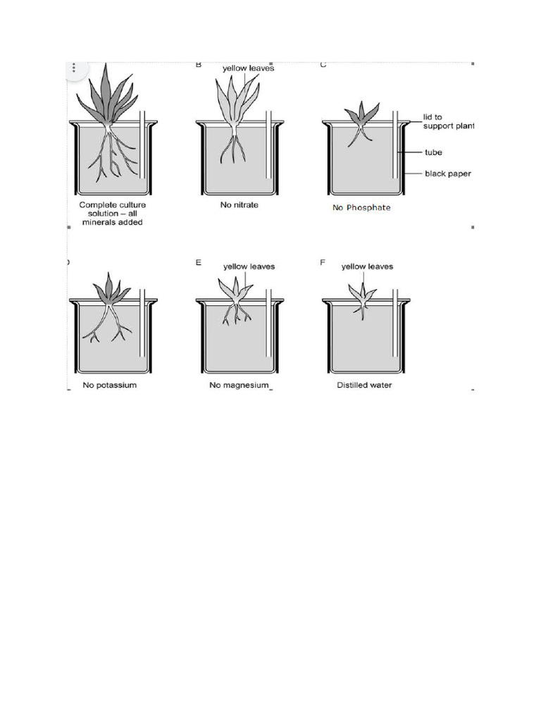 Diagram Analysis and Interpretation | PDF