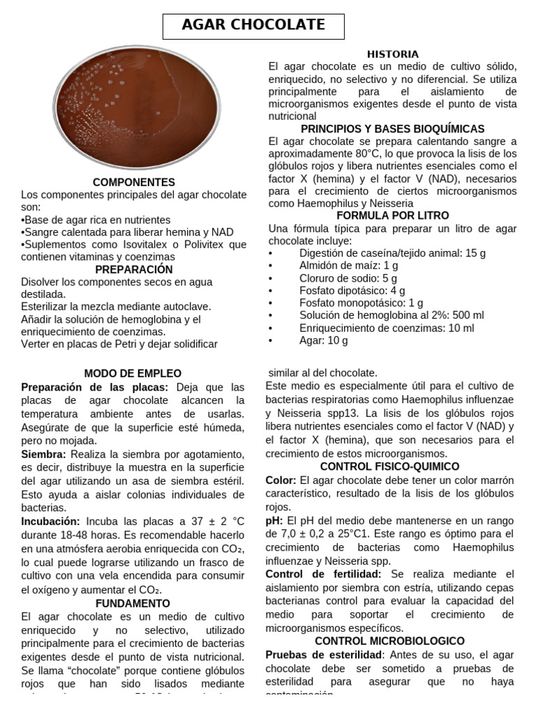 Preparación y Uso del Agar Chocolate | PDF | Microbiología | Biología