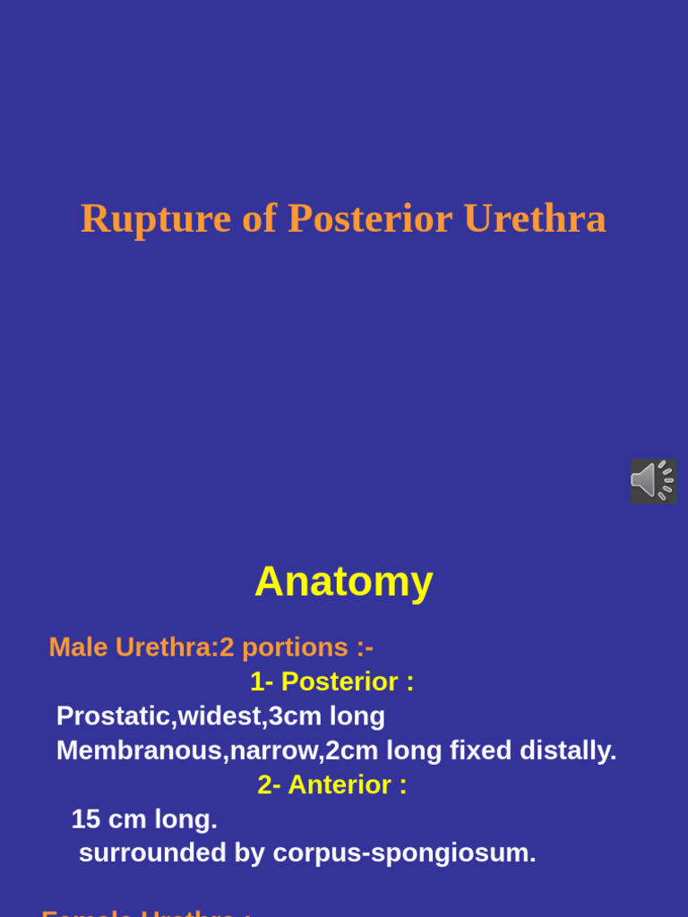 Urethral Trauma2011 | PDF | Prostate | Pelvis