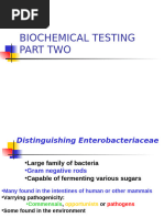 API 20E Test System | PDF | Biochemistry | Chemistry