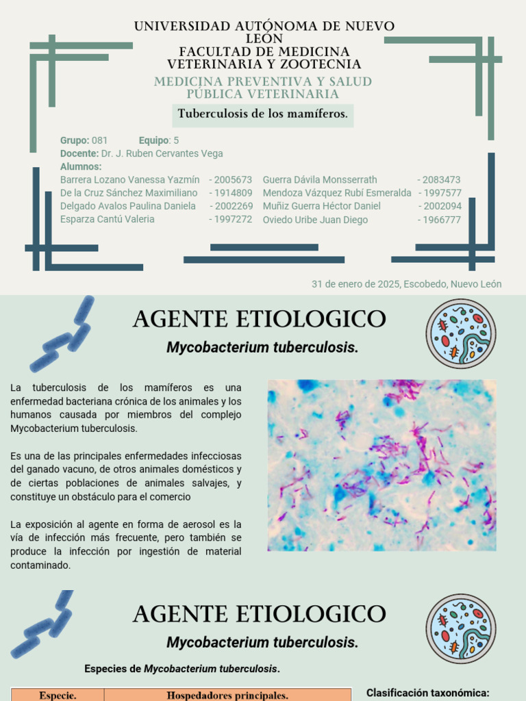 Tuberculosis de los Mamíferos-Eq5.pdf | PDF | Tuberculosis | Mycobacterium