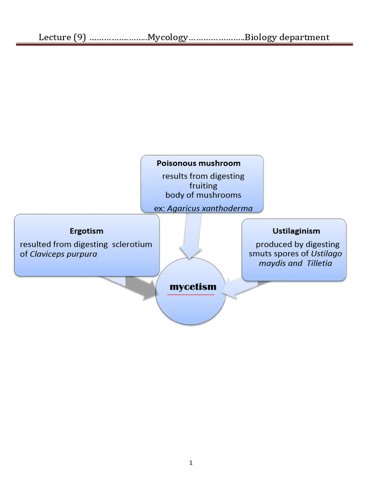 Lecture 9.mycology | PDF | Mycotoxin | Fungus