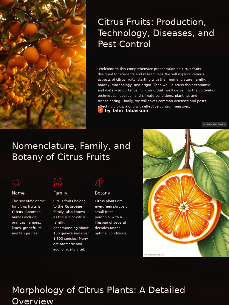 Citrus Fruits Production Technology Diseases and Pest Control | PDF ...