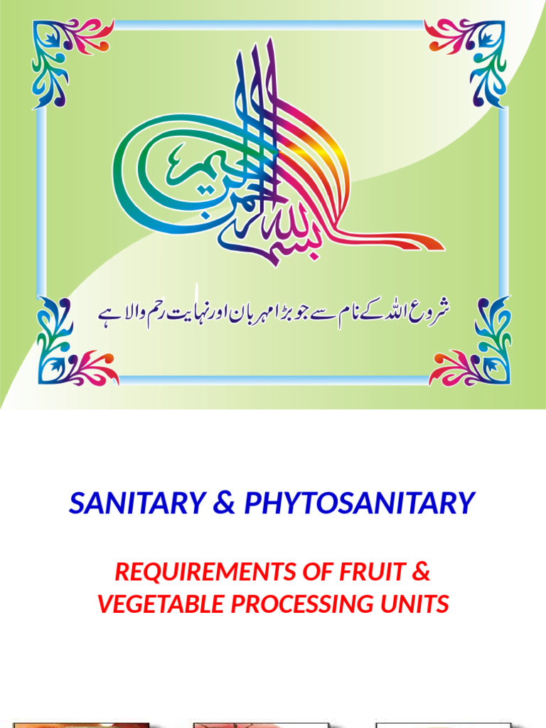SPS Requirements and Protocols | PDF