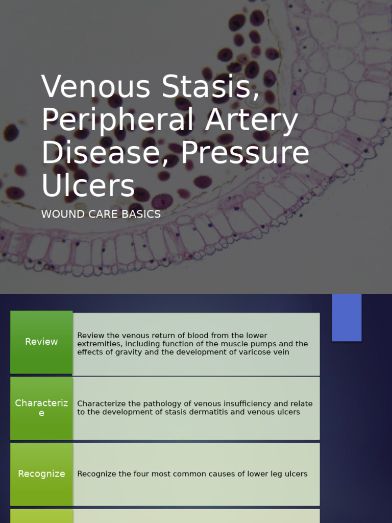 Wound Care: Management of Pressure Ulcers | PDF | Wound Healing | Wound