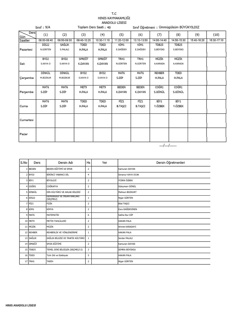 SnfProgram pdf11111 | PDF