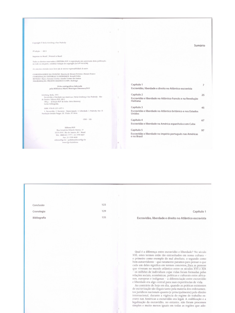 Escravidao e Liberdade Nas Americas CAP 1 e 2 | PDF