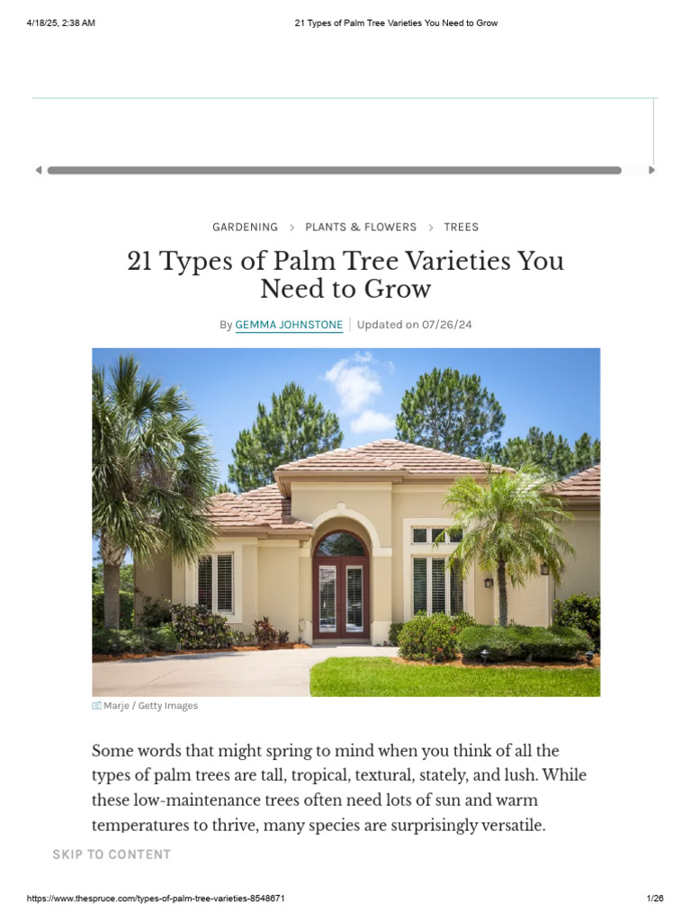 21 Essential Palm Tree Varieties | PDF | Arecaceae | Trees