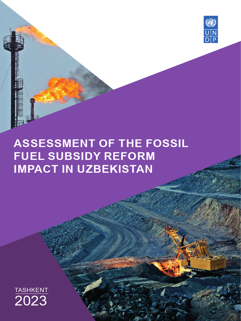 Policy Report On Ffs Eng 0 | PDF | Petroleum | Subsidy