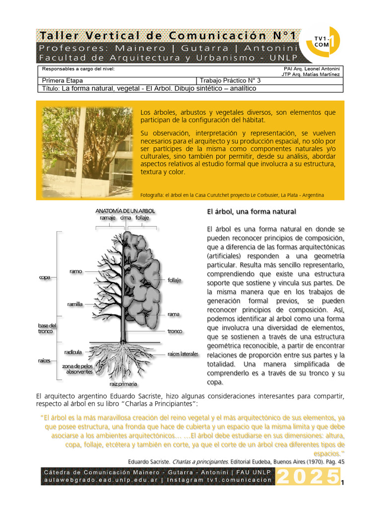 C1 TP3 2025 El Arbol | PDF | Lápiz | Dibujo